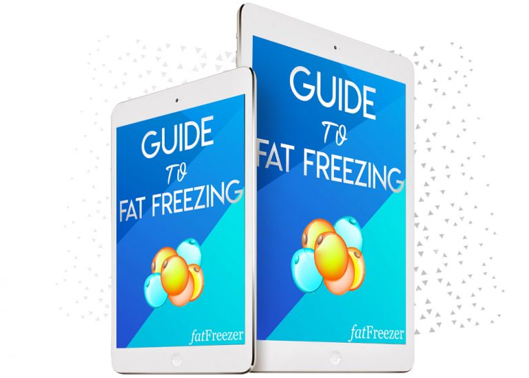 Guide to Fat Freezing – Fat Freezer System